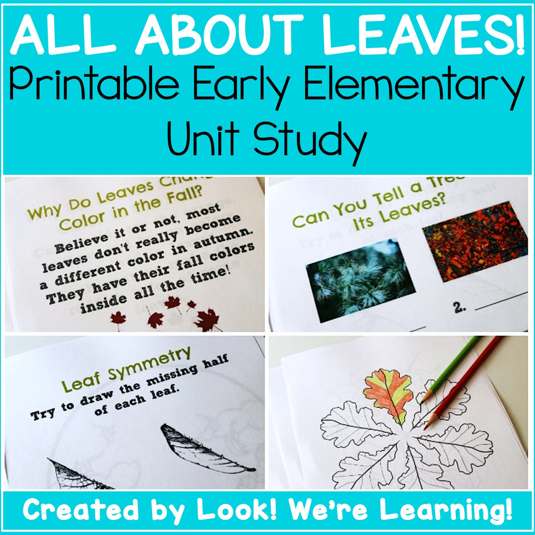 All About Leaves Unit Study – Look! We're Learning!