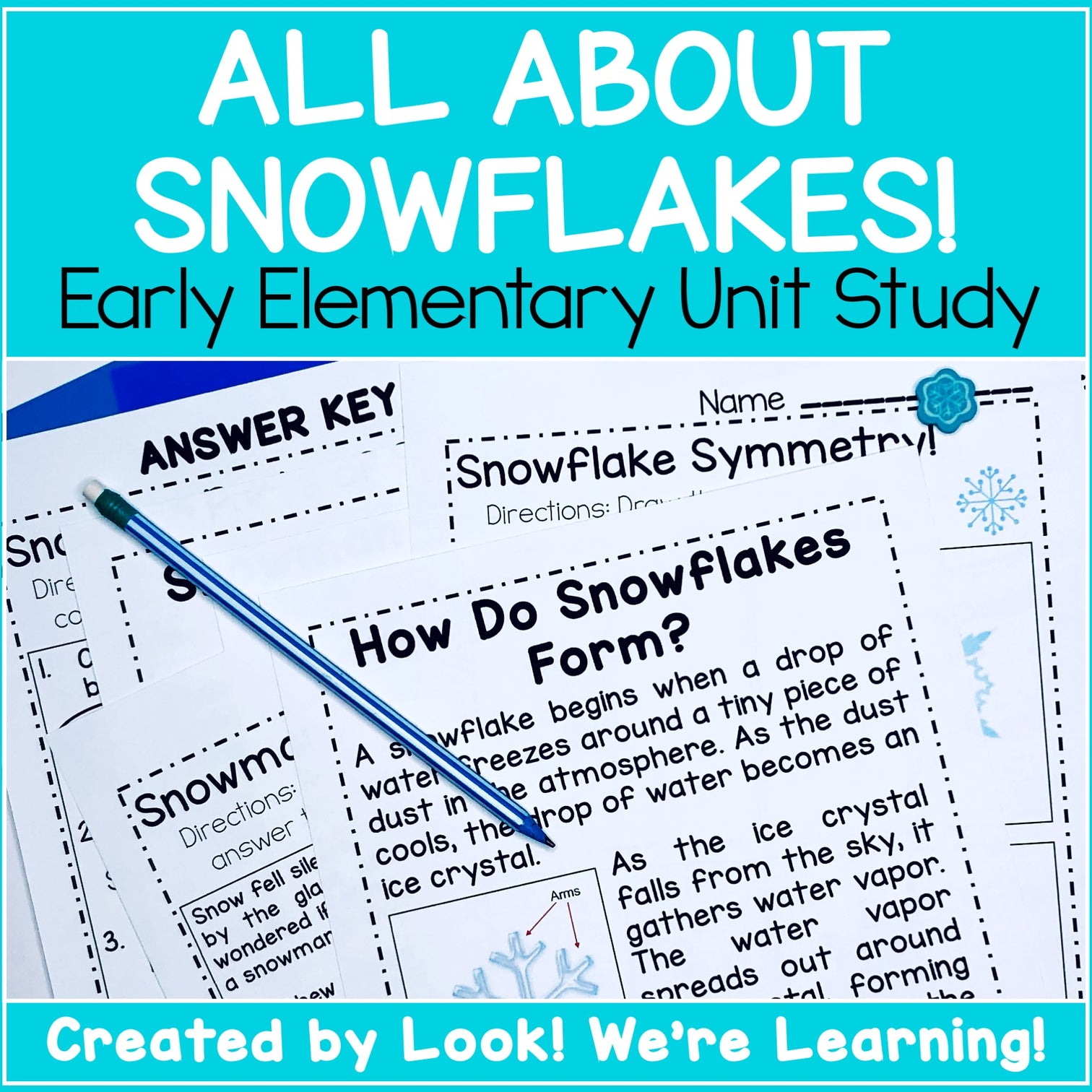 Snowflakes Printable Unit Study – Look! We're Learning!