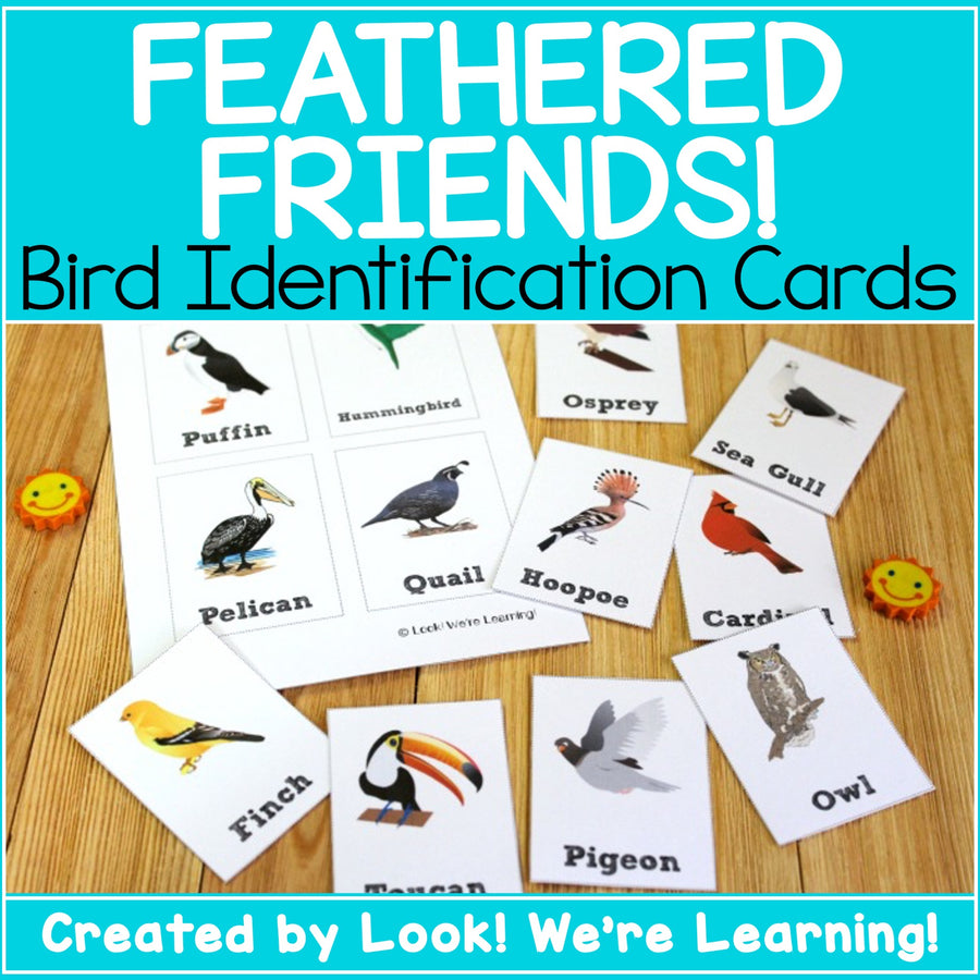 Printable Bird Species Flashcards – Look! We're Learning!