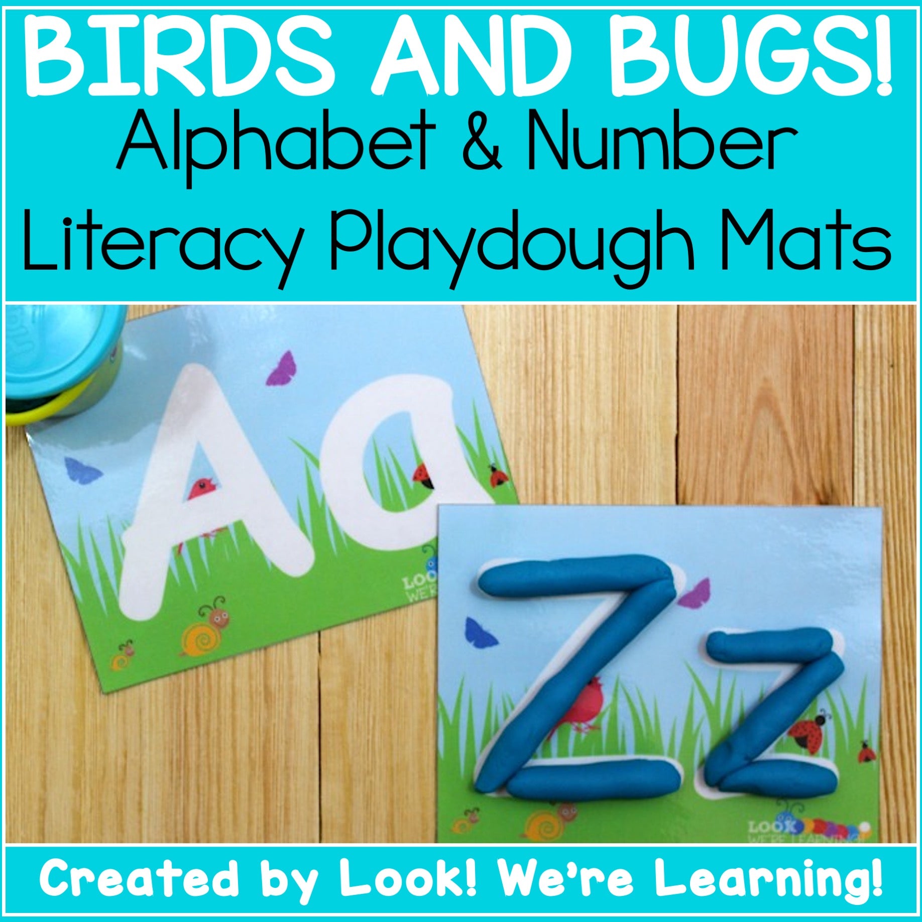 Birds and Bugs Spring Playdough Mats - Look! We're Learning!