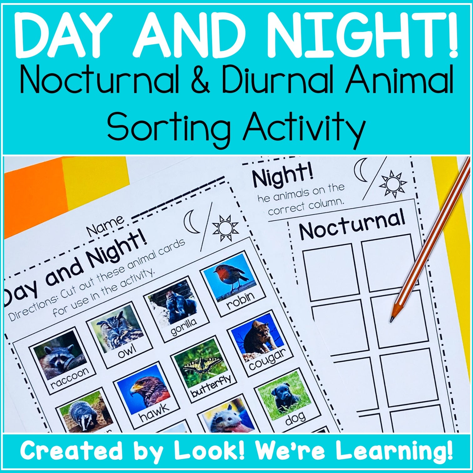 Nocturnal and Diurnal Animals Sorting Activity – Look! We're Learning!