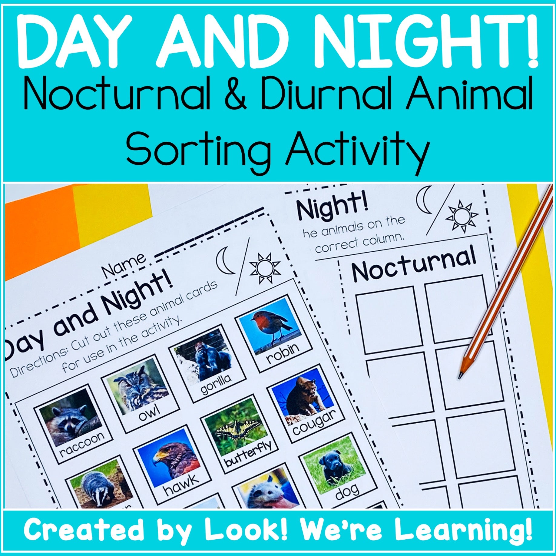 Nocturnal and Diurnal Animals Sorting Activity – Look! We're Learning!
