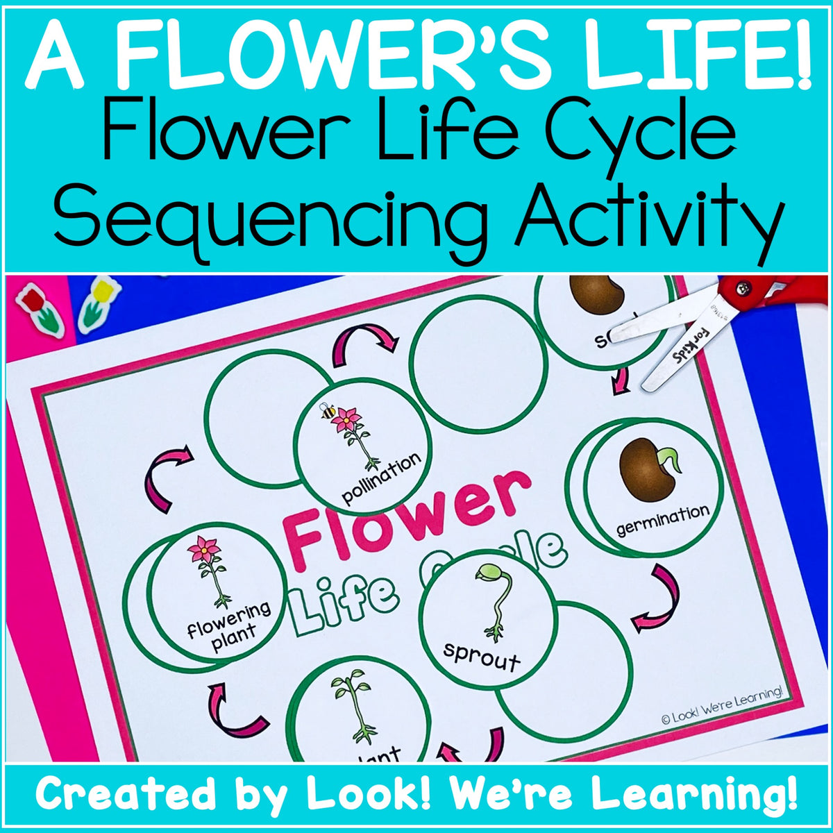 Flower Life Cycle Science Sequencing Activity – Look! We're Learning!