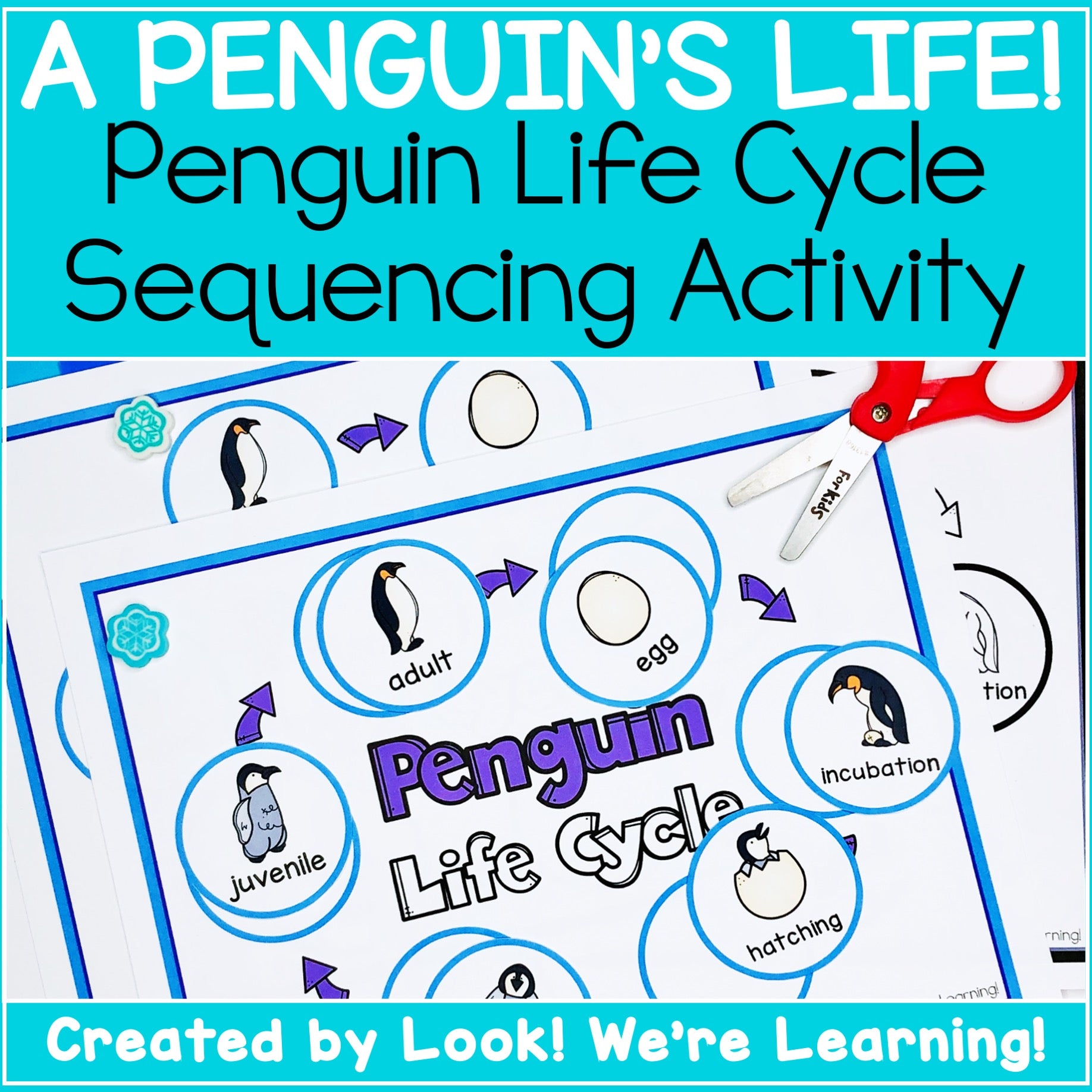 Penguin Life Cycle Sequencing Activity – Look! We're Learning!