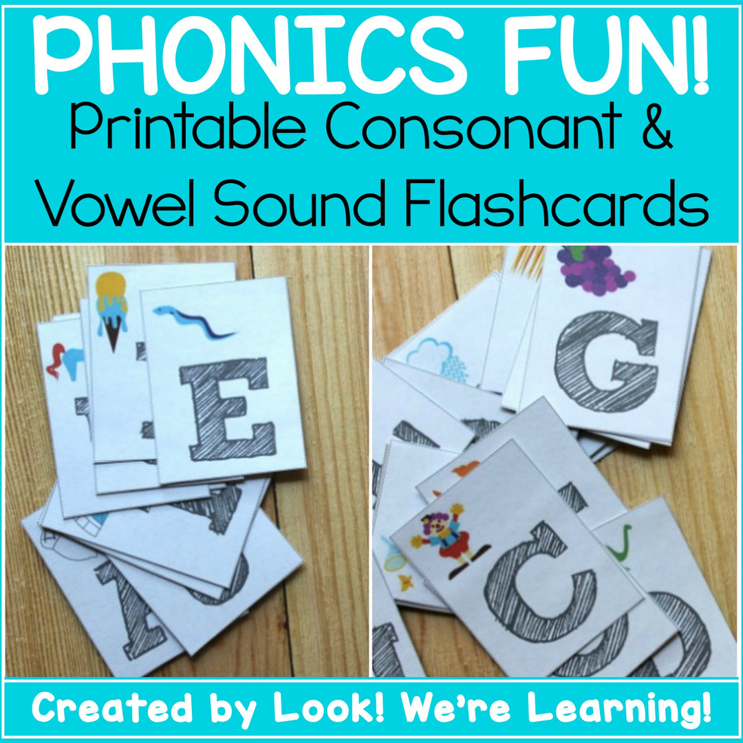 Phonics Fun: Consonant and Vowel Sounds Flashcard Bundle – Look! We're ...