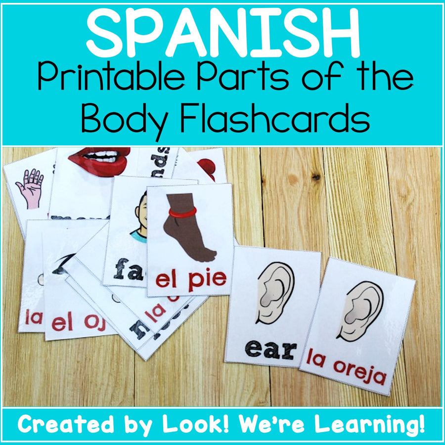 Spanish Parts of the Body Flashcards – Look! We're Learning!